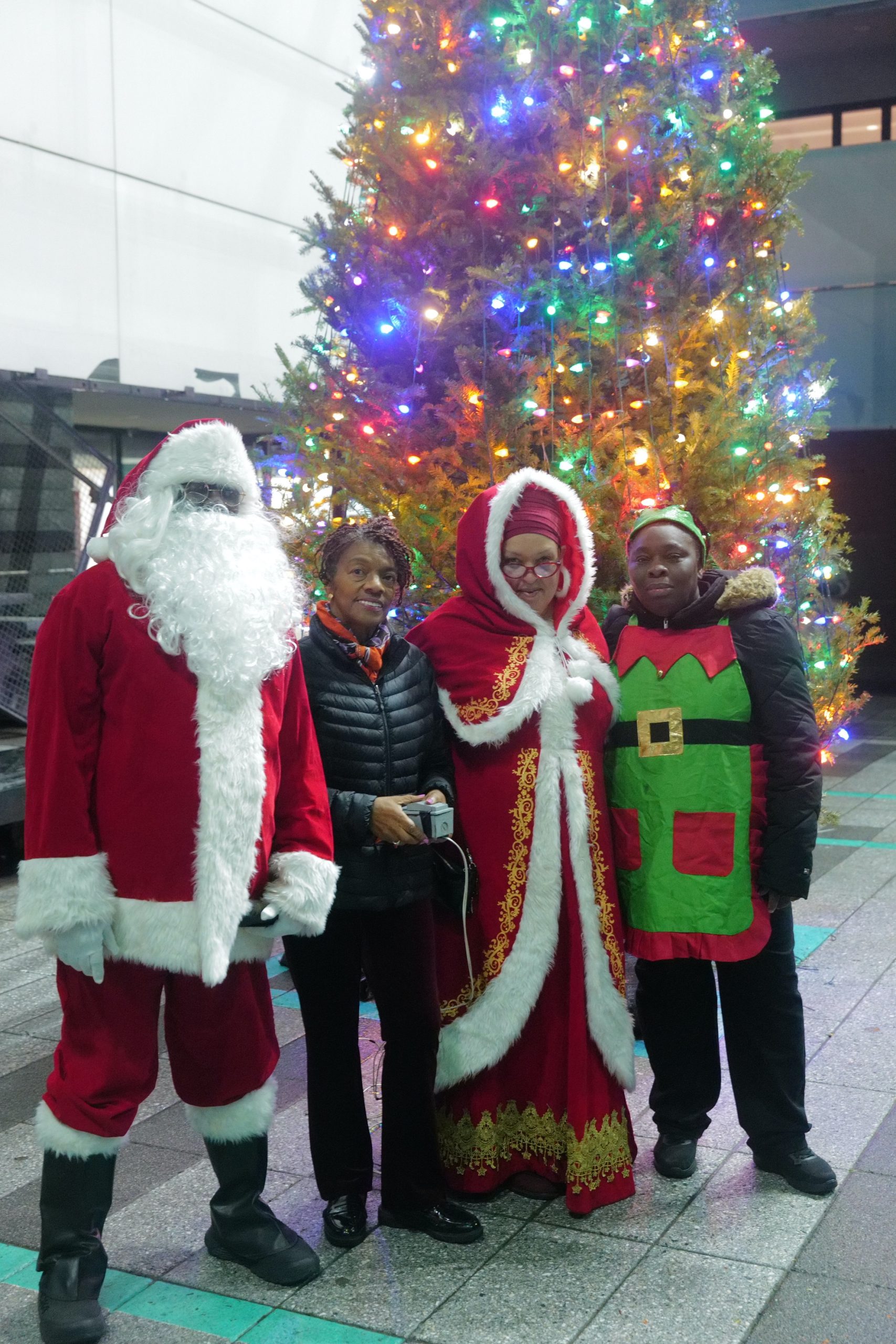 BED STUY BID HOSTS OFFICIAL TREE LIGHTING CEREMONY & TOY GIVEAWAY AT ...