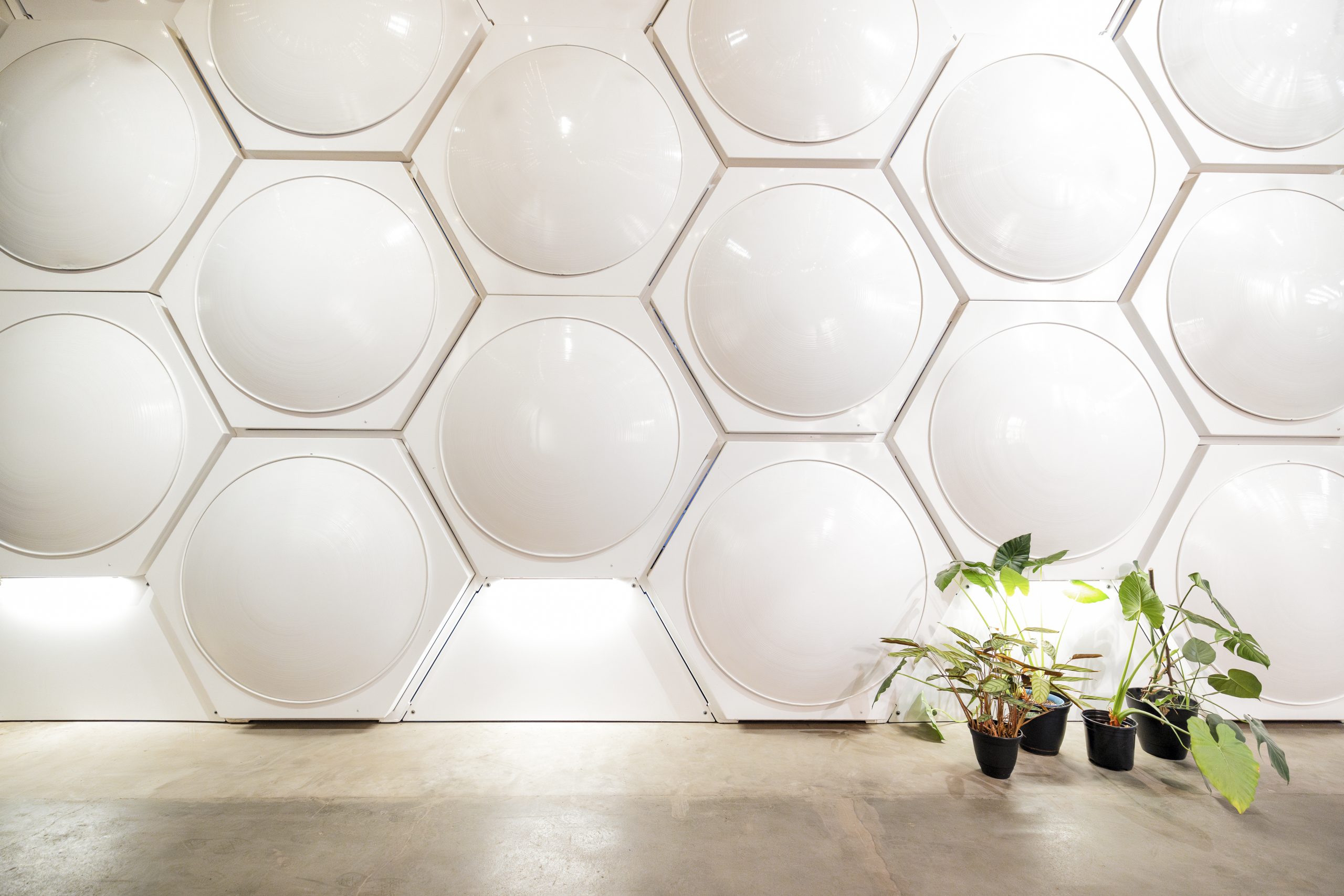 NJ Embraces Human Composting As Eco-Friendly After Death